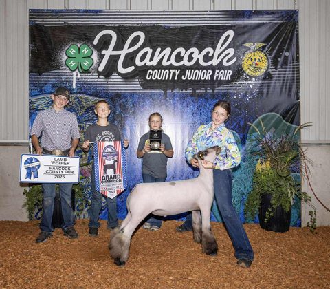 2025 Genetic Customer Wins - Platinum-Shelton Livestock